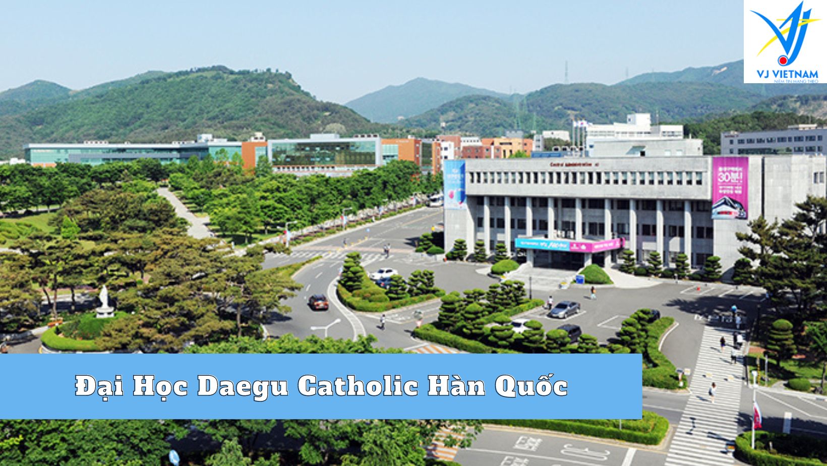 Đại Học Daegu Catholic Hàn Quốc – Chứng Nhận Học Phí Tốt Tại Daegu